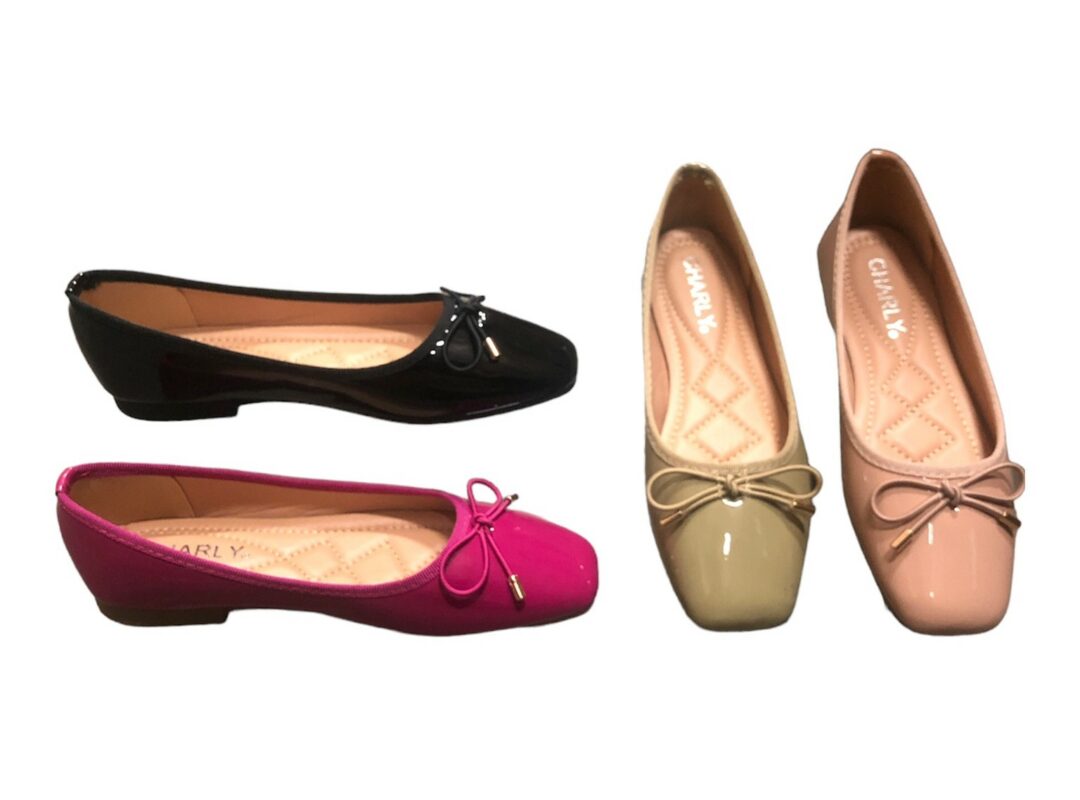 DANIC – Tiendas Charly